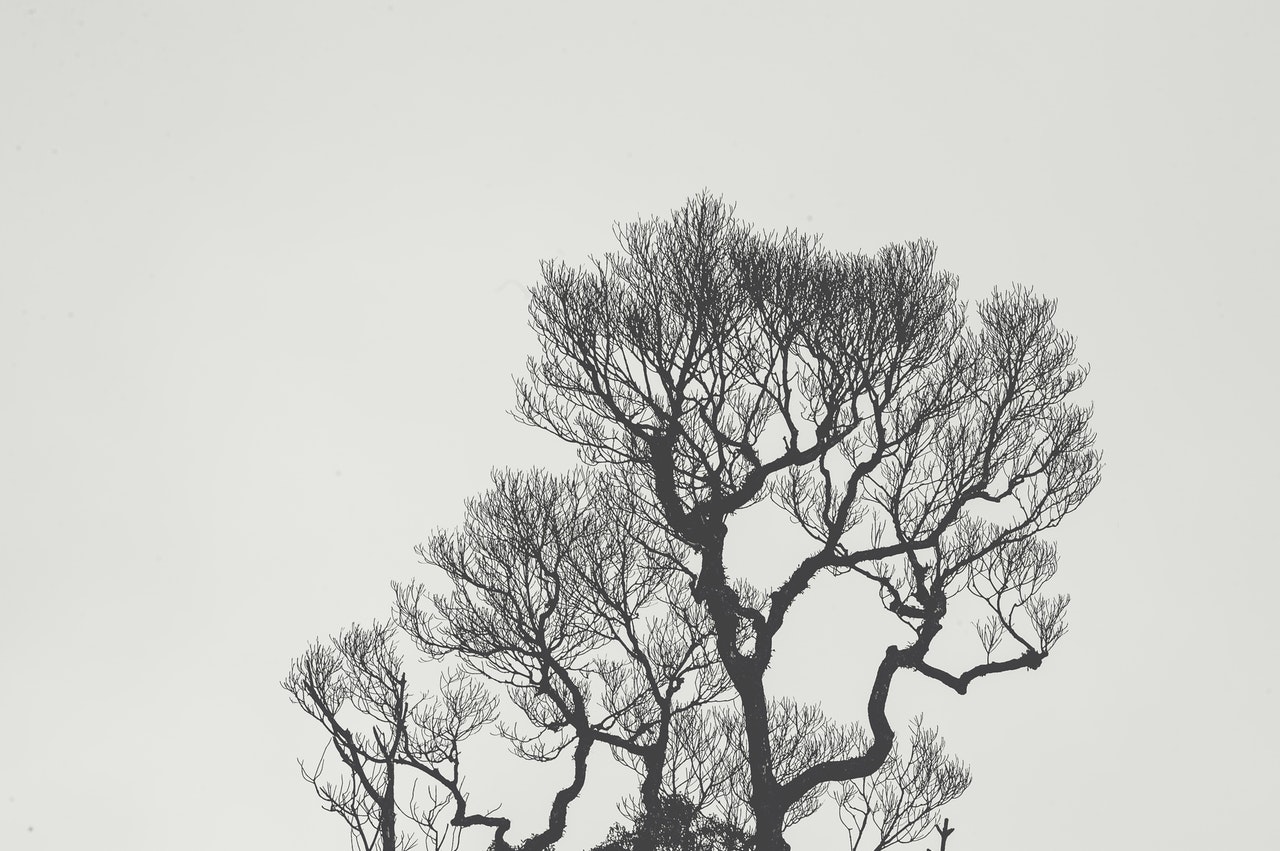 Parallel Merge Sort With Pthreads Malith Jayaweera 